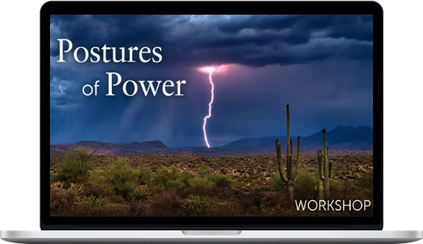 Download Lee Holden – Postures Of Power Workshop – Healthcare Course